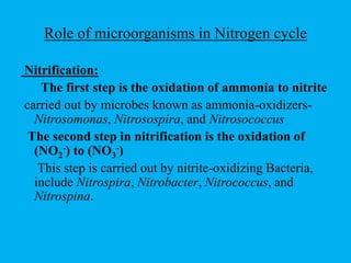 Importance of microorganisms in nutrient management | PPTX