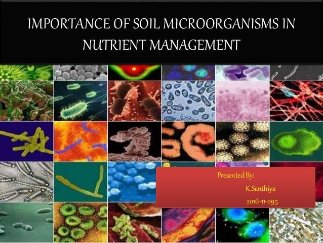 Industrially Important Microorganisms