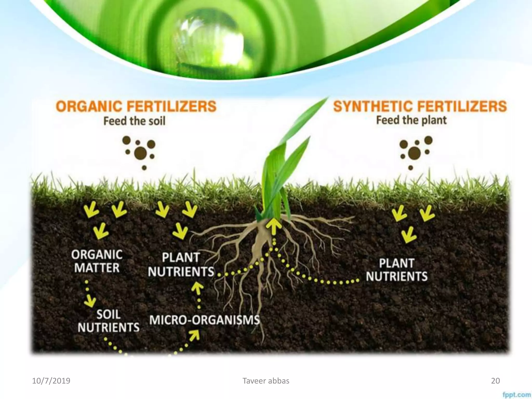 Soil fertility | PPTX
