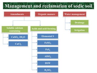 SOIL FERTILITY.pptx