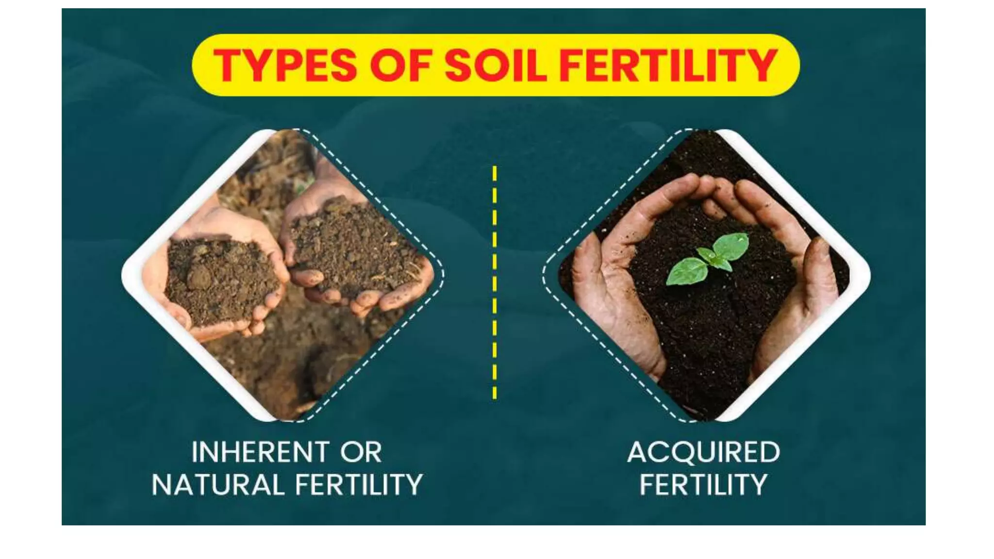 Soil Fertility.pptx