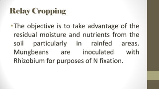 soil fertility and management.pdf
