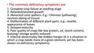 Soil Fertility Evaluation.pptx