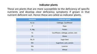 Soil Fertility Evaluation.pptx