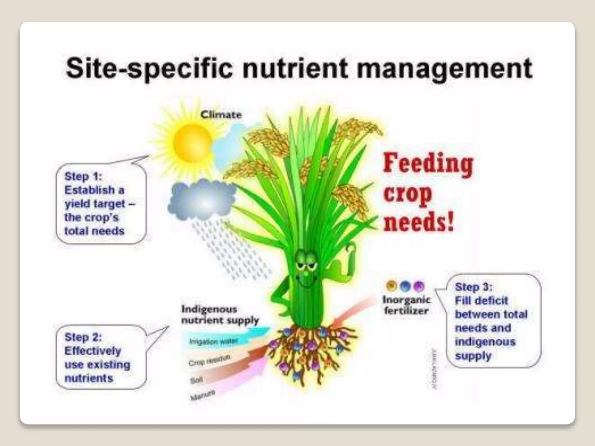 Soil fertility evaluation and fertilizer recommendation | PPTX