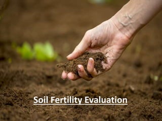 Soil fertility evaluation and fertilizer recommendation | PPTX