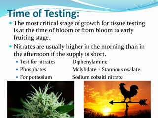 Soil fertility evaluation and fertilizer recommendation | PPTX