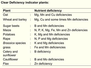 soil fertility evaluation ppt. | PDF