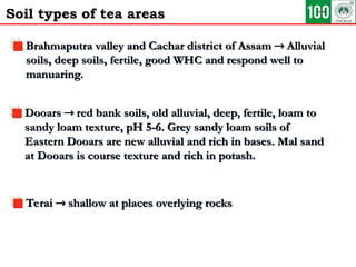soil fertility mangement IN TEA ESTATE.ppt