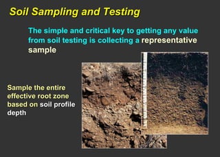 Soil fertility testing | PPT