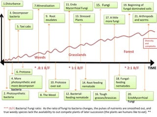 Soil food web | PPTX