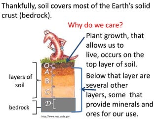 Layers Of Soil 3rd Grade