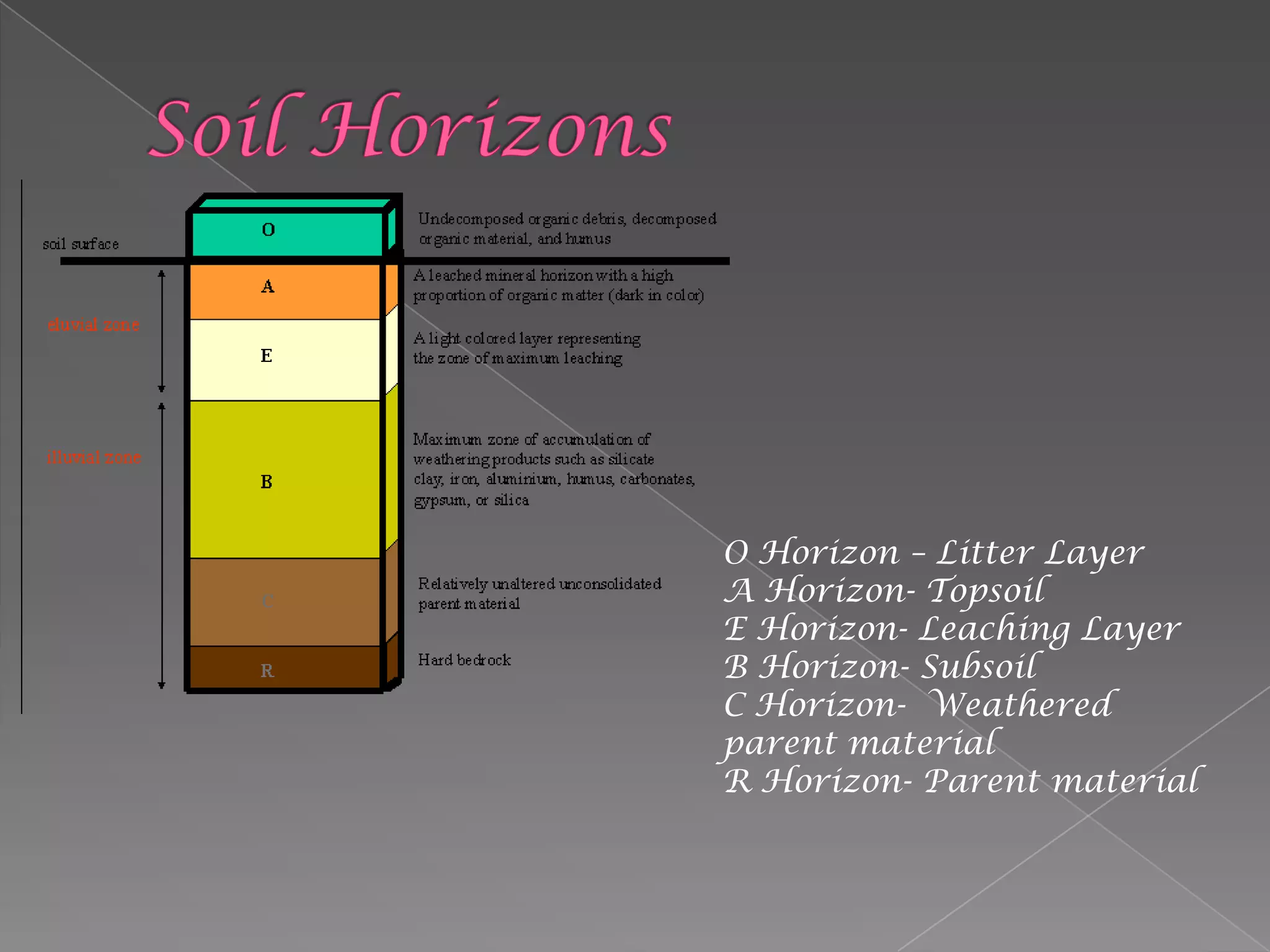 Soil formation | PPT