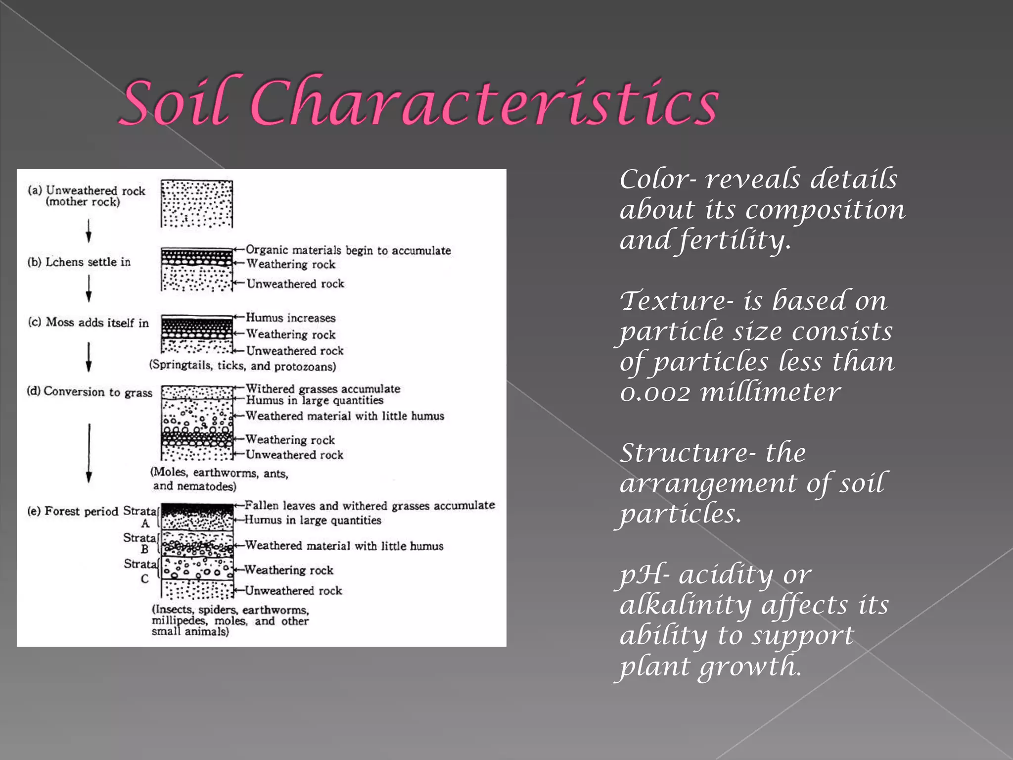 Soil formation | PPT