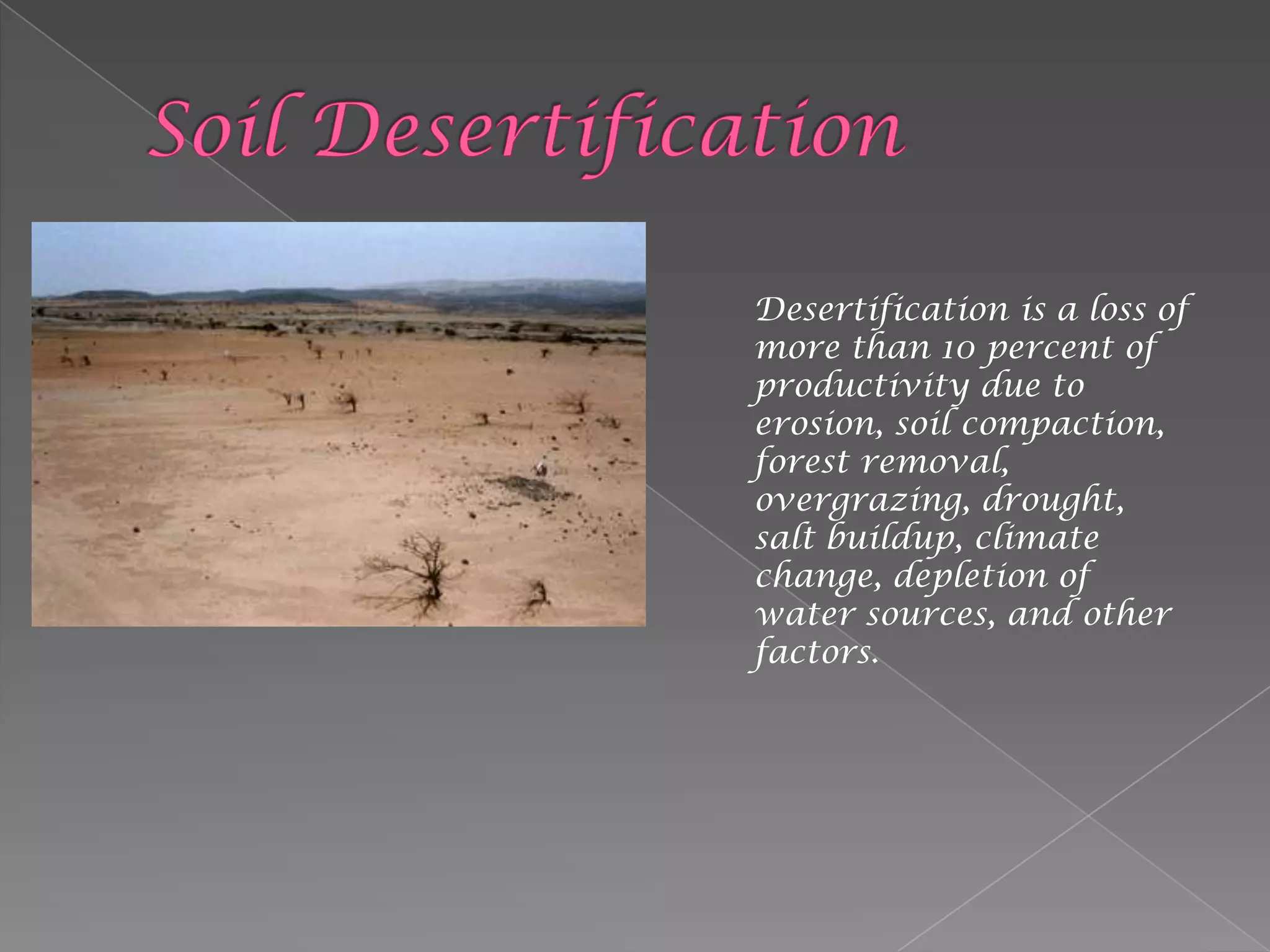 Soil formation | PPT