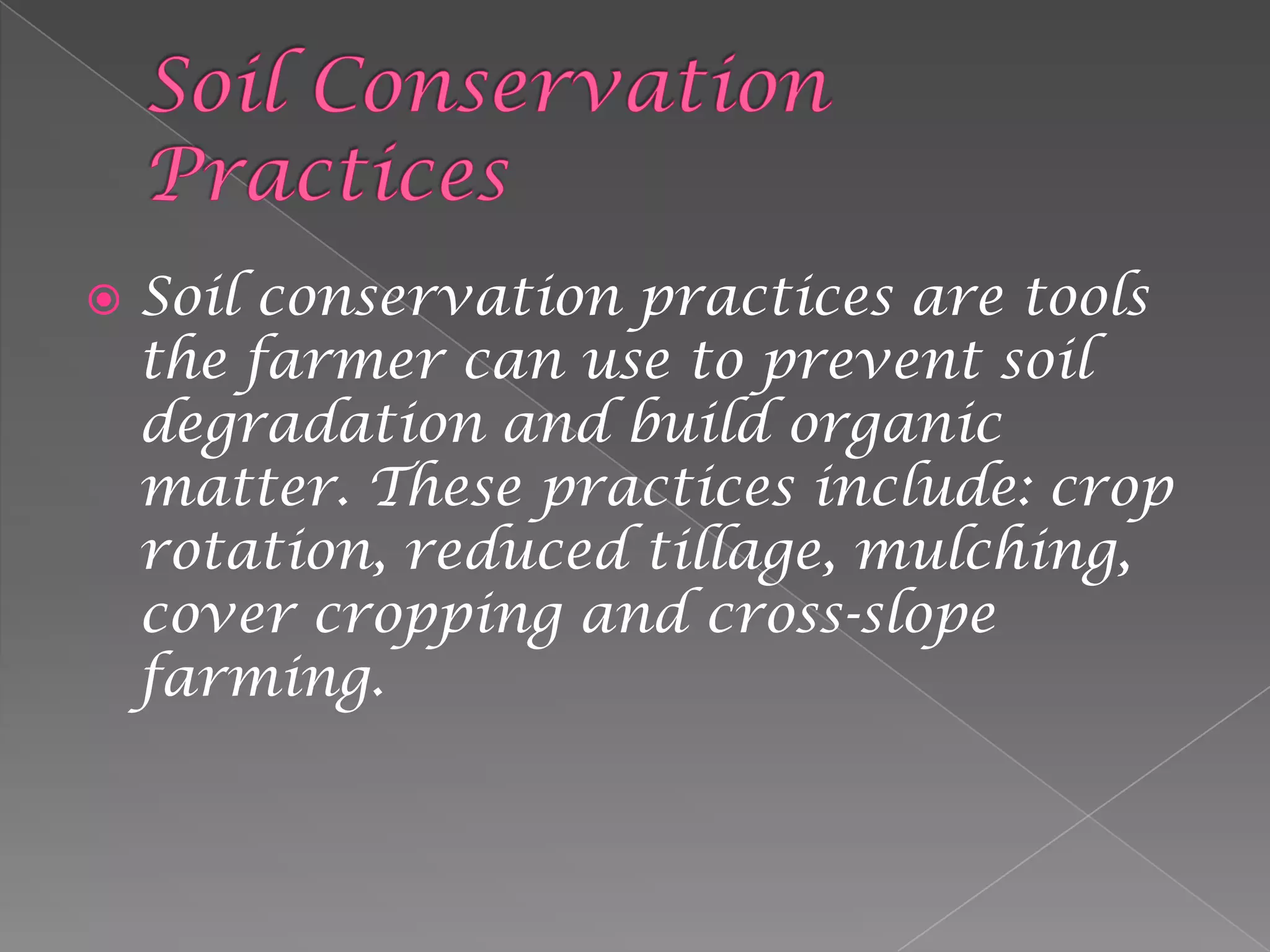 Soil formation | PPTX