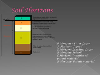 Soil formation | PPT