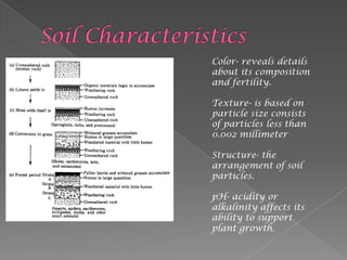 Soil formation | PPT