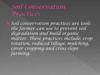 Soil formation | PPT