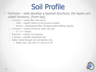 HPU NCS2200 Soil formation | PPTX