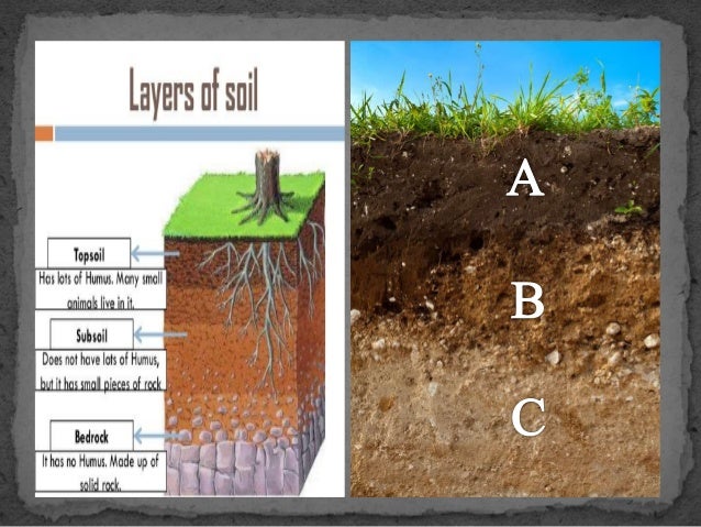 Soil Formation Steps