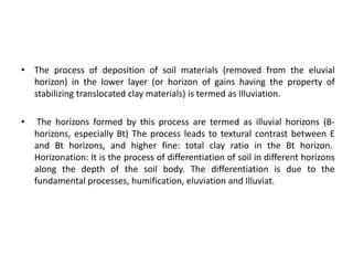 Soil formation | PPTX