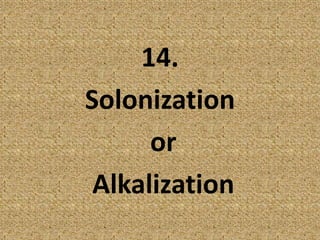 Soil formation | PPTX