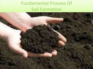 Soil Creation