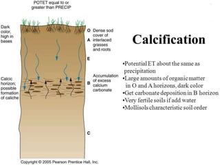 Soil Formation Steps