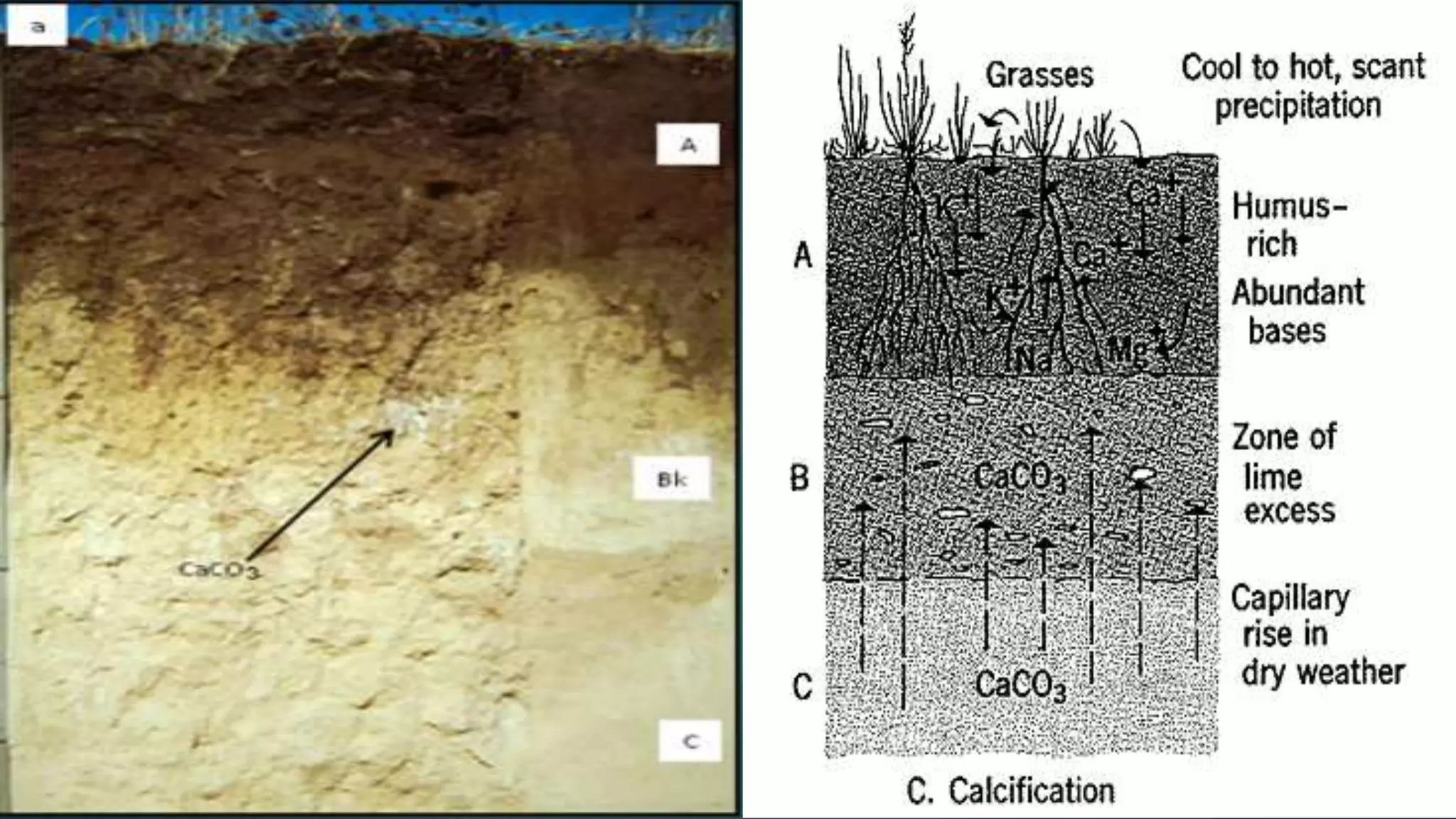 The Process of Soil Formation | PPTX
