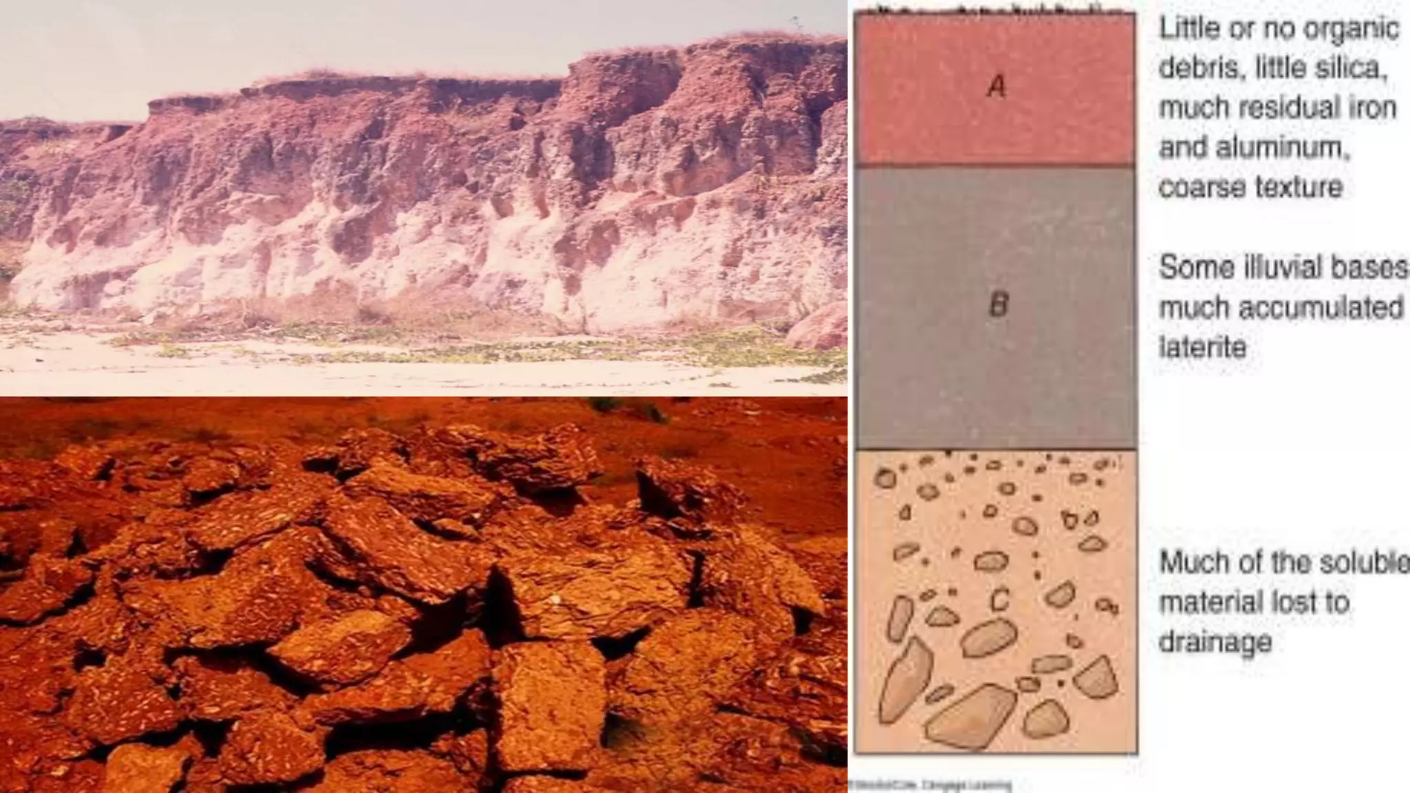 The Process of Soil Formation | PPTX