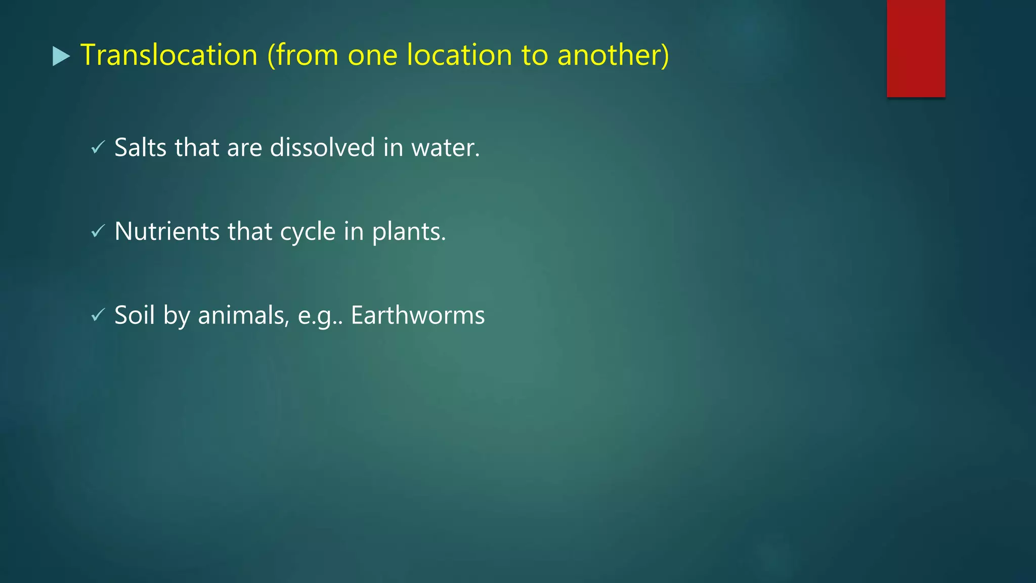 The Process of Soil Formation | PPTX