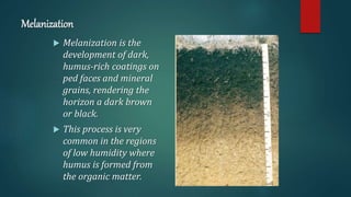 The Process of Soil Formation | PPTX