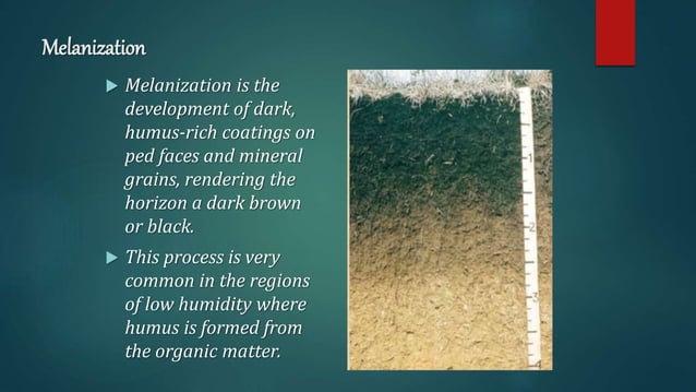 The Process of Soil Formation | PPTX