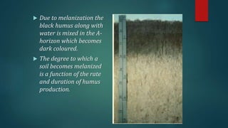 The Process of Soil Formation | PPTX