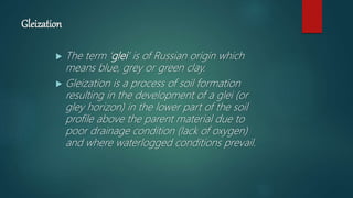 The Process of Soil Formation | PPTX