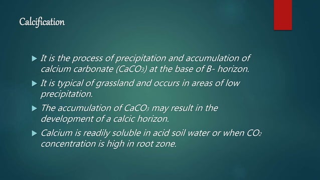 The Process of Soil Formation | PPTX