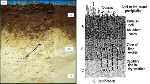 The Process of Soil Formation | PPTX