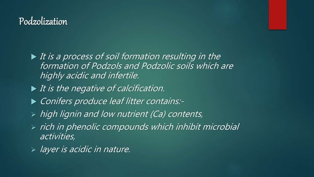 The Process of Soil Formation | PPTX