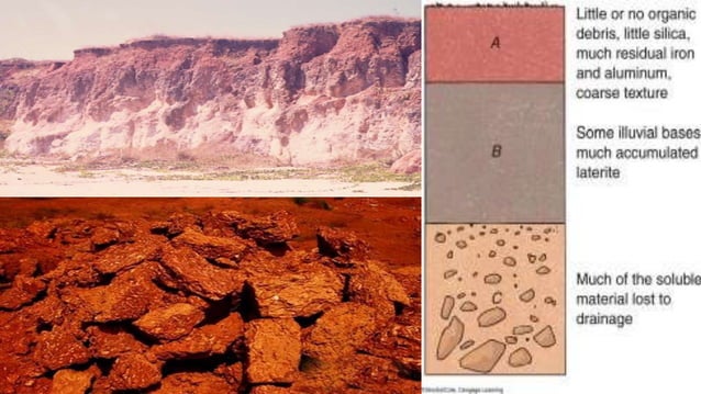 The Process of Soil Formation | PPTX