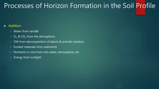 The Process of Soil Formation | PPTX