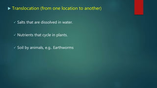 The Process of Soil Formation | PPTX