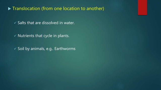 The Process of Soil Formation | PPTX