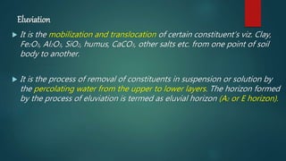 The Process of Soil Formation | PPTX