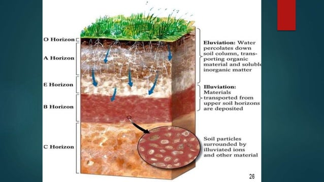 The Process of Soil Formation | PPTX