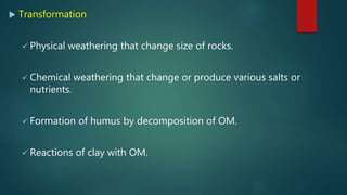 The Process of Soil Formation | PPTX
