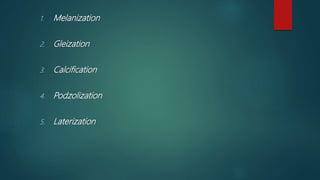 The Process of Soil Formation | PPTX