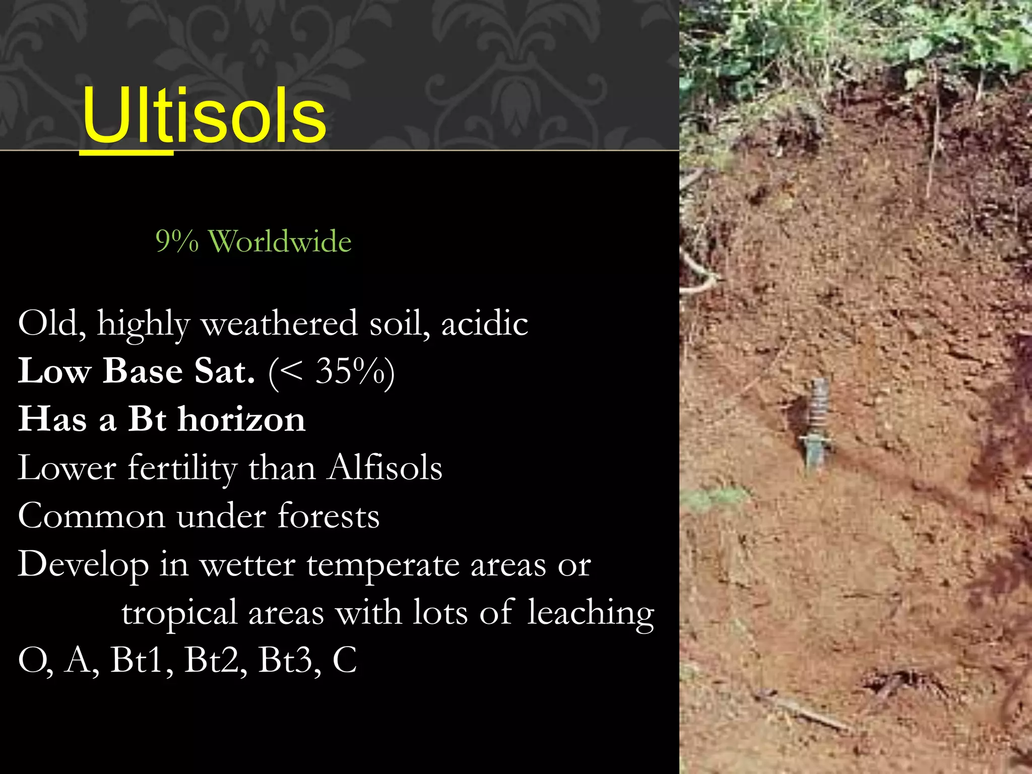 Soil formation, Soil forming factors, Soil Classification, Soil orders ...