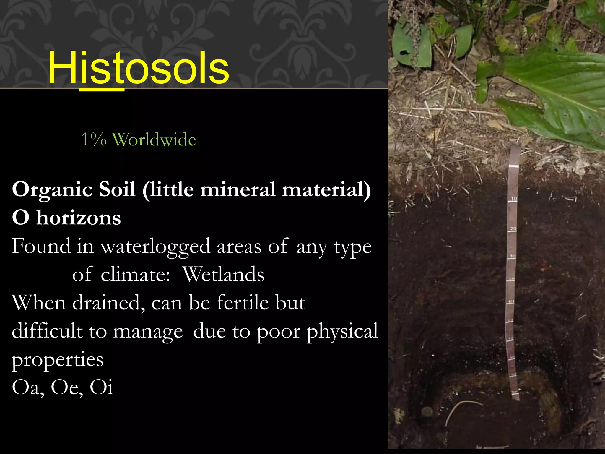 Soil formation, Soil forming factors, Soil Classification, Soil orders ...