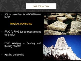 Soil formation, Soil forming factors, Soil Classification, Soil orders ...